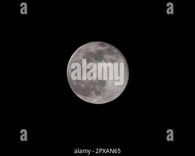 A waning gibbous Moon, one day after the Full Moon, is seen against a ...