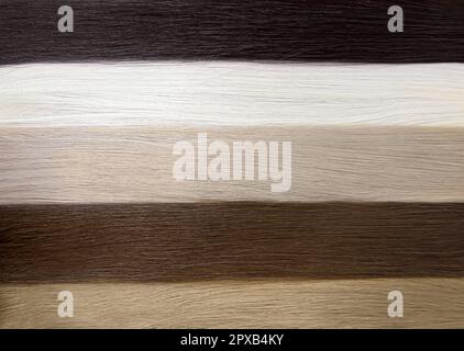Strands of natural hair of different colors for extensions. Hair color ...