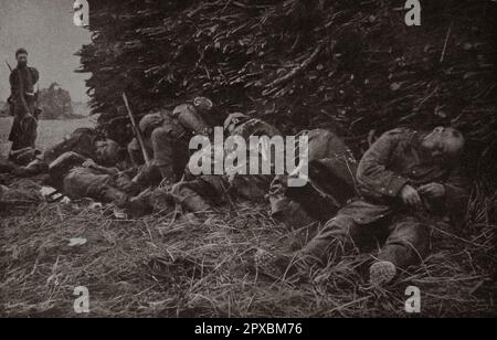 destruction, world war i, battlefield, ww1, wwi, world war one Stock ...