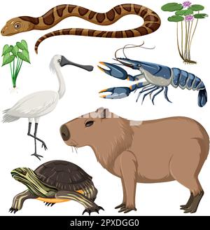 Various Wetland Animals Collection illustration Stock Vector Image ...