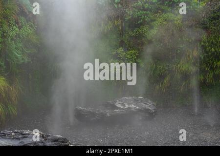 Artificial fog for plants in the garden Stock Photo - Alamy