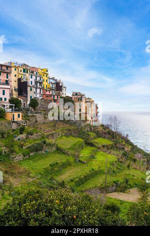 Scenic view of Coniglia village located in Cinque Terre, Italy Stock ...