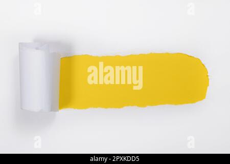ragged white paper with curl edges on brown background Stock Photo - Alamy
