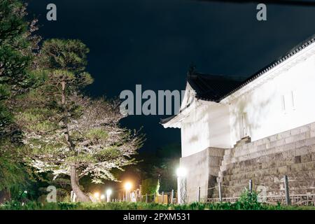 Sunpu Castle Park night scenery in Shizuoka, Japan Stock Photo - Alamy