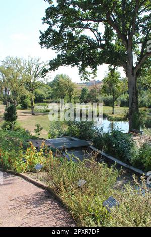 public garden in chemillé (france Stock Photo - Alamy