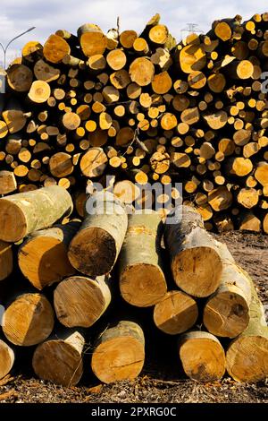 wooden logs on the open air Stock Photo - Alamy
