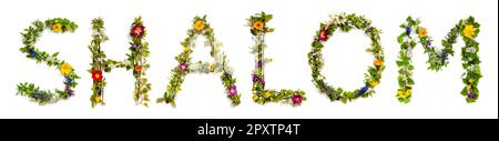 Blooming Flower Letters Building Hebrew Word Shalom Means Hello Stock ...