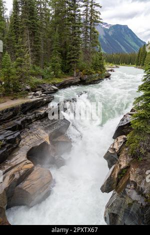 Numa Falls waterfall in Kootenay National Park Canada Stock Photo - Alamy