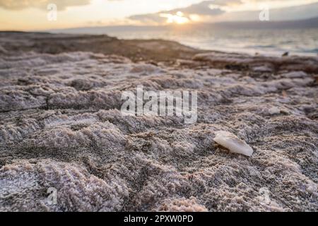 Sand and stones covered with crystalline salt on shore of Dead Sea ...