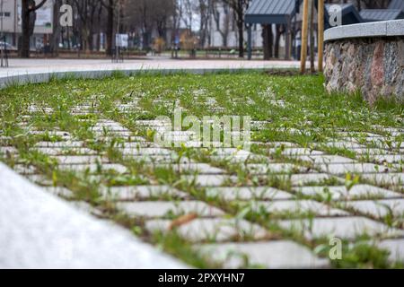 A brick walkway with grass growing in between it and a stone wall Stock ...