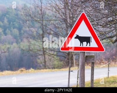 Traffic sign, Attention cattle drive Stock Photo - Alamy