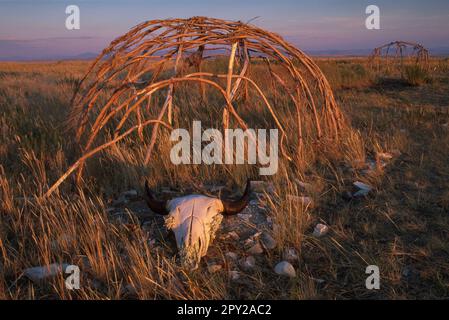 USA, Montana, Great Plain, Ulm Pishkun State Monument, sweat lodge with ...