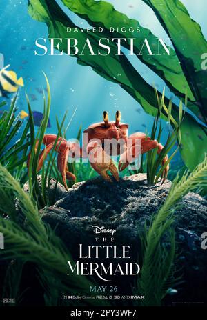 THE LITTLE MERMAID, US character poster, from top: Scuttle (voice: Awkwafina), Sebastian (voice ...