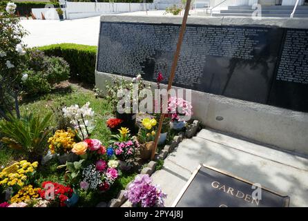 Flowers and bess in the garden Stock Photo - Alamy