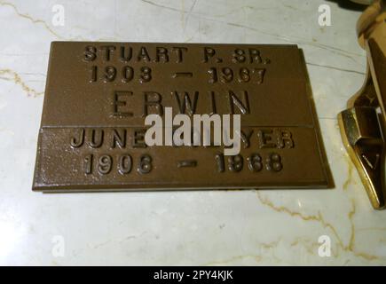JUNE COLLYER and husband STUART ERWIN at Ciro's, c. 1940s Stock Photo - Alamy