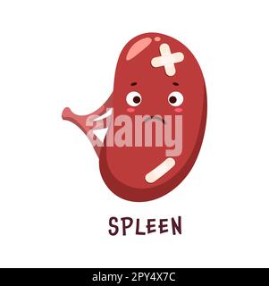 Spleen, sick body organ character injured or unhealthy, cartoon vector ...