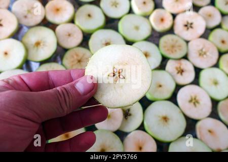 drying homemade apples, drying apples, sliced apple slices left to dry ...