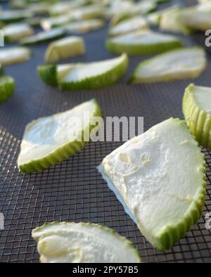 dried zucchini, dried zucchini, dried sliced zucchini Stock Photo - Alamy