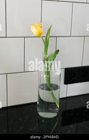 One pink tulip in a glass vase on a white background. Minimalism ...