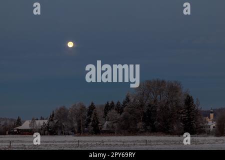Moon over field in frost and fog, Etzel, East Friesland, Lower Saxony ...