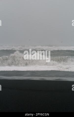 Large white foamy sea wave. The sea is stormy. Cold stormy Black Sea ...