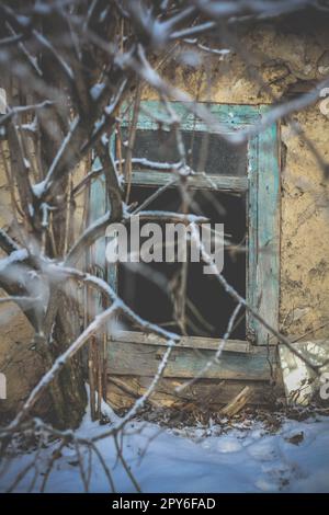 Close up overgrown branches in front of abandoned house with broken ...
