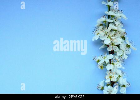 Happy easter time. Bright Easter holiday concept with spring flowers ...