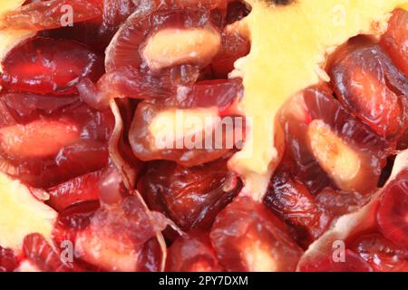 detail of pomegranate texture as nice background Stock Photo - Alamy