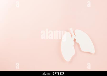 Lungs paper decorative model with medical stethoscope on blue ...