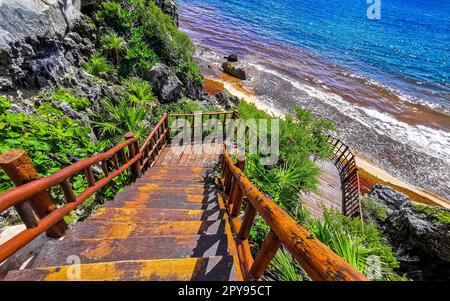 Natural seascape panorama view Tulum ruins Mayan site temple Mexico ...