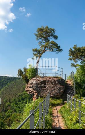Viewing plateau of the Guttenberg castle ruins, Oberotterbach ...