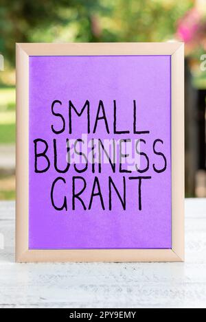 Writing displaying text Small Business. Business overview an ...