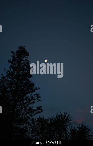 look around once in a while Stock Photo - Alamy