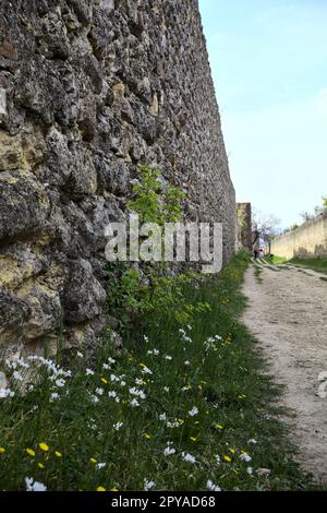 Path bordered by flowers and a boundary walls in a park by the hillside ...