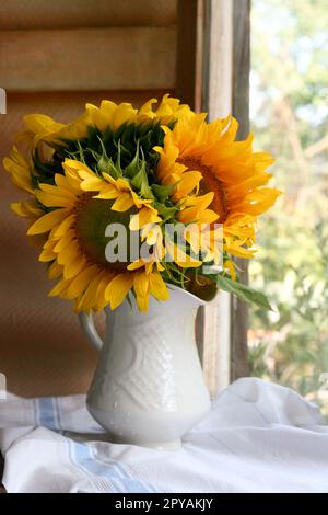 Beautiful sunflowers in vase near window indoors. Space for text Stock ...