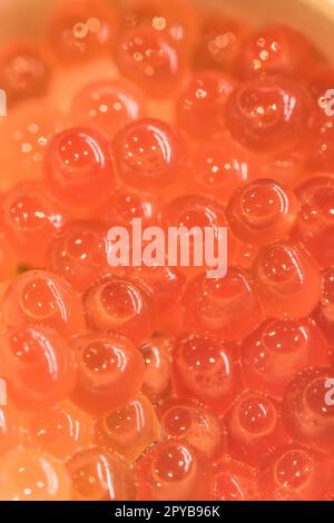 Japanese salmon caviar known as ikura which derives from Russian word ...