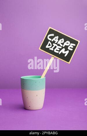 Inspiration showing sign Carpe Diem. Concept meaning public festival ...