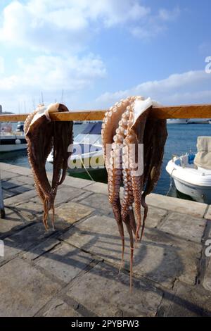 Octopus drying in the sun, Naxos, Greek Islands Stock Photo - Alamy