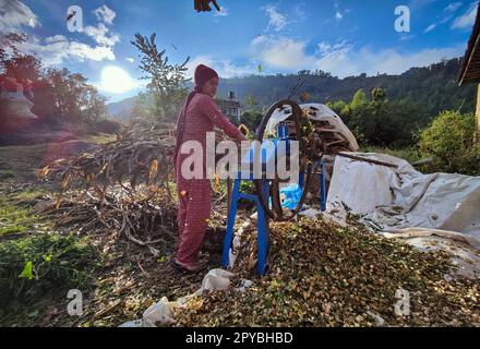 Kavrepalanchok, Bagmati, Nepal. 3rd May, 2023. Mesmerizing scenery is ...