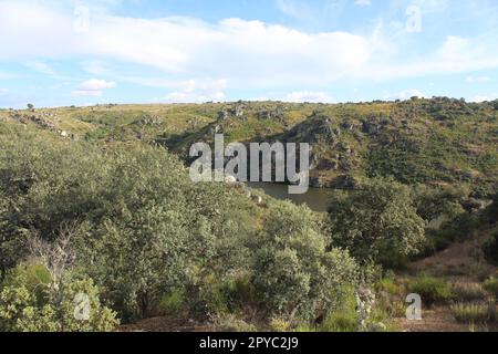 Beautiful image with a large river and some huge ravines Stock Photo ...