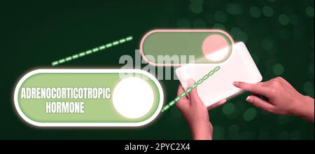 Writing displaying text Adrenocorticotropic Hormone. Word Written on ...