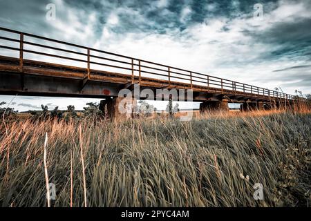 lost railroad track Stock Photo - Alamy