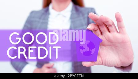 Text showing inspiration Good Credit, Business overview borrower has a ...