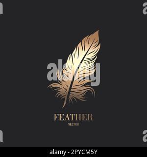 Vector Fluffy Golden Color Feather Logo Icon, Silhouette Feather ...