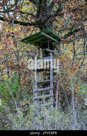 Small raised hide for hunting in the middle of the forest Stock Photo ...