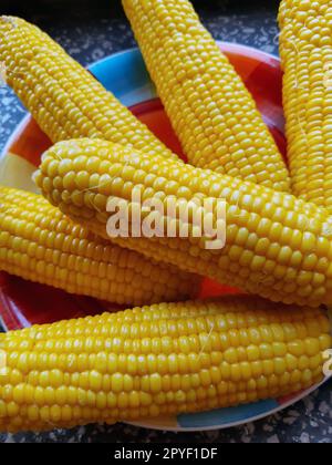 Fresh yellow corn cobs. Juicy fresh ears of corn harvest in the box ...