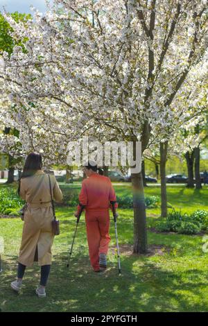 People enjoying spring in Riga, photographing with blooming flowers ...