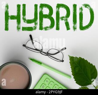 Text sign showing Hybrid Cloud Strategy. Conceptual photo Cloud ...