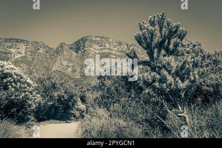 Mountains in the Tablemountain National Park, Cape Town, South Africa ...