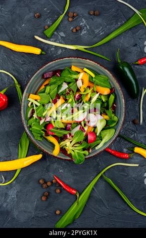 Vegetable vegan salad of ramson, radish, green onions and boiled eggs ...